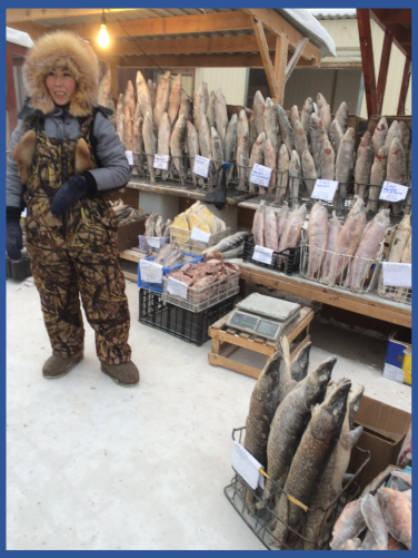 UArctic - University of the Arctic - Thematic Network ARCH workshop ...